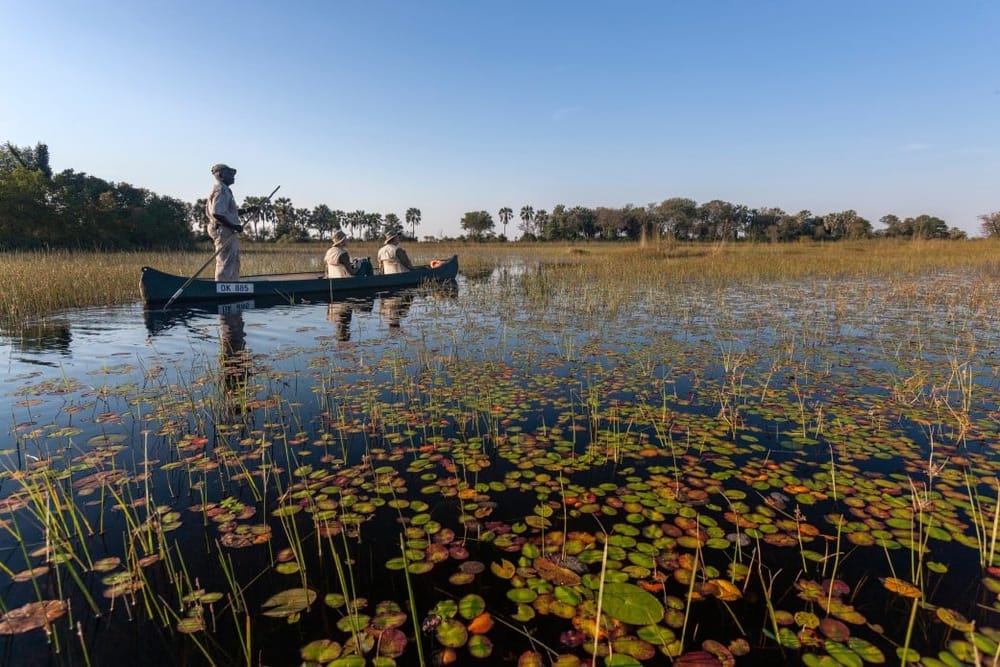 Delta del Okavango: cómo visitar el corazón de África