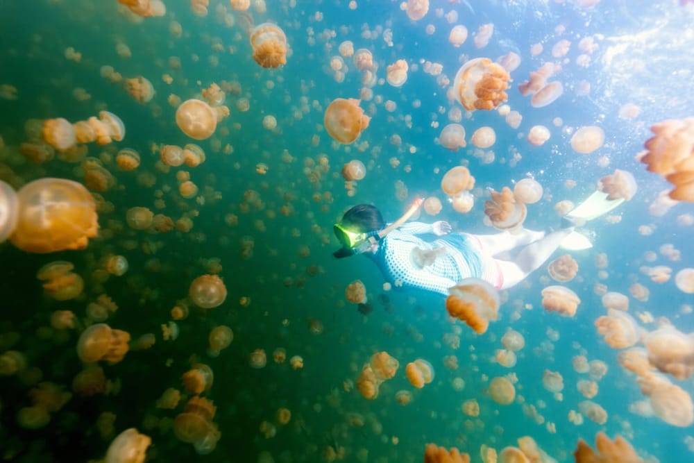 Descubriendo Islas Palaos, las perlas de la Micronesia