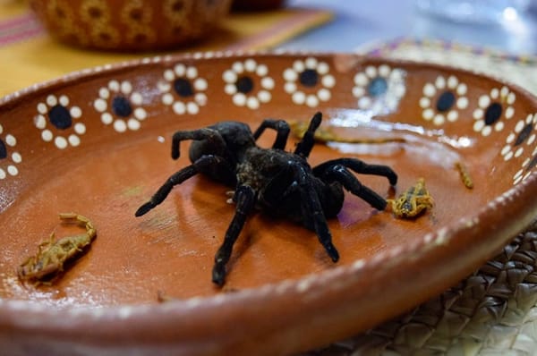 11 platos típicos con insectos alrededor del mundo