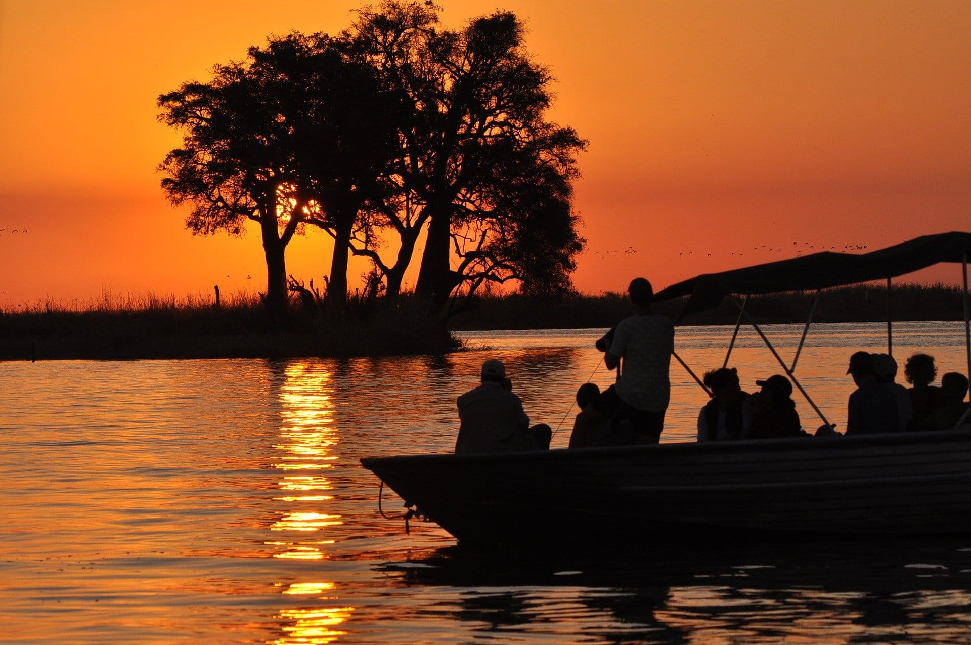 Delta del Okavango: cómo visitar el corazón de África