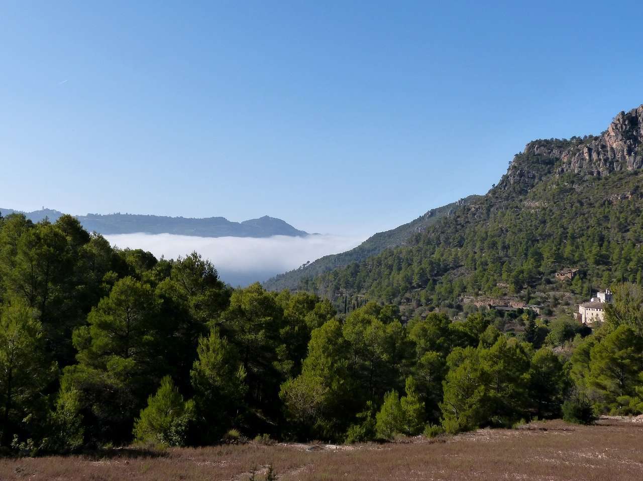 Descubriendo la ruta del vino del Priorat