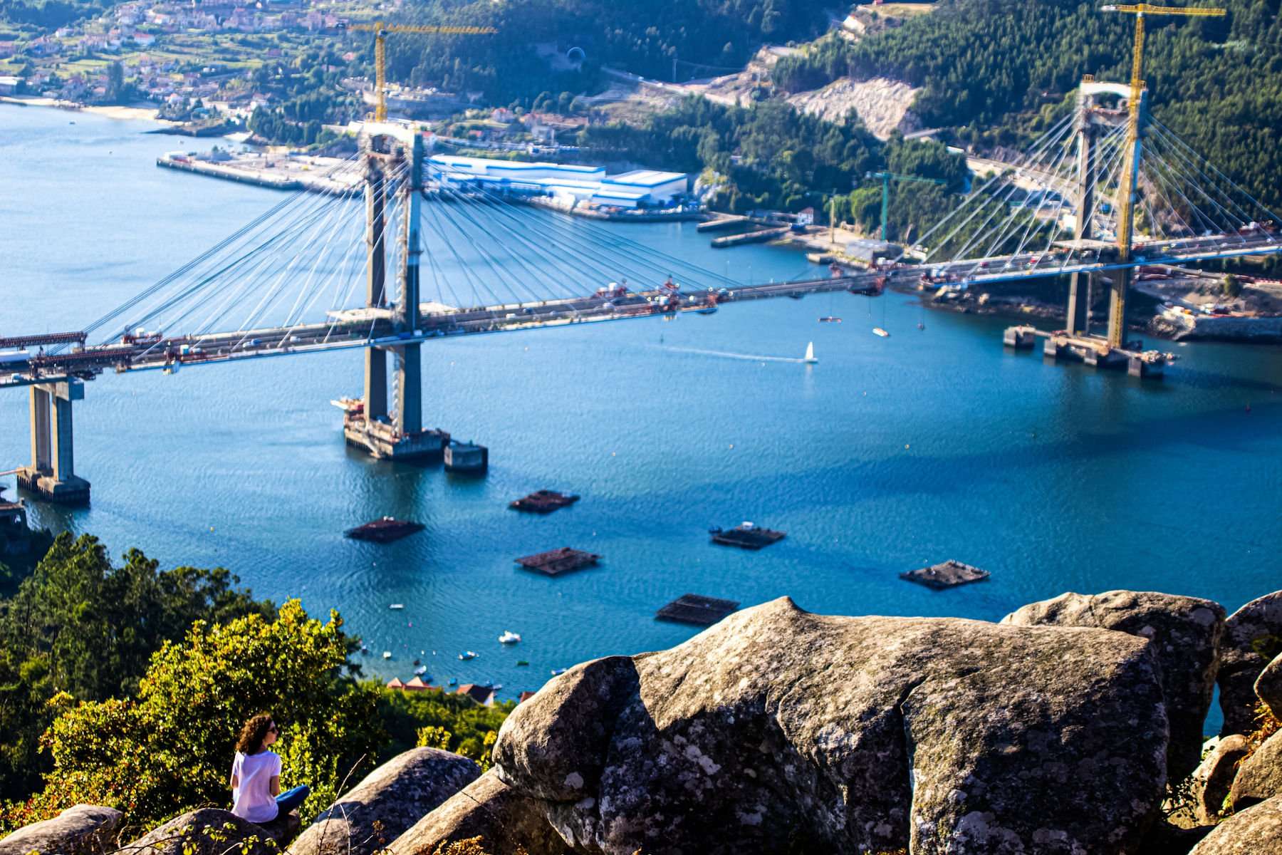 Descubriendo la ruta del mejillón de Vigo