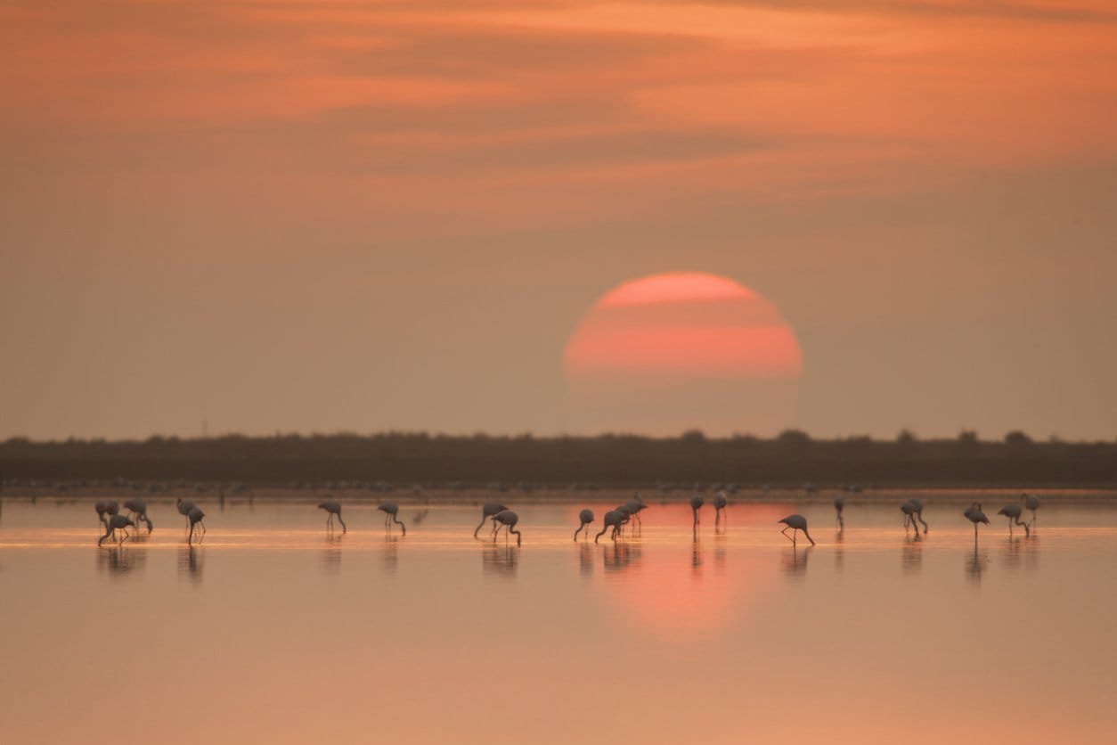 Descubriendo el Delta del Ebro, un paisaje único en España