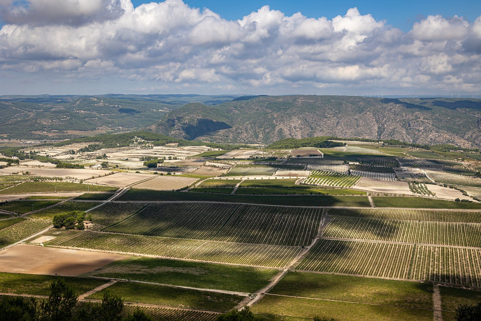 La Costera, historia y tradición en el interior de Valencia